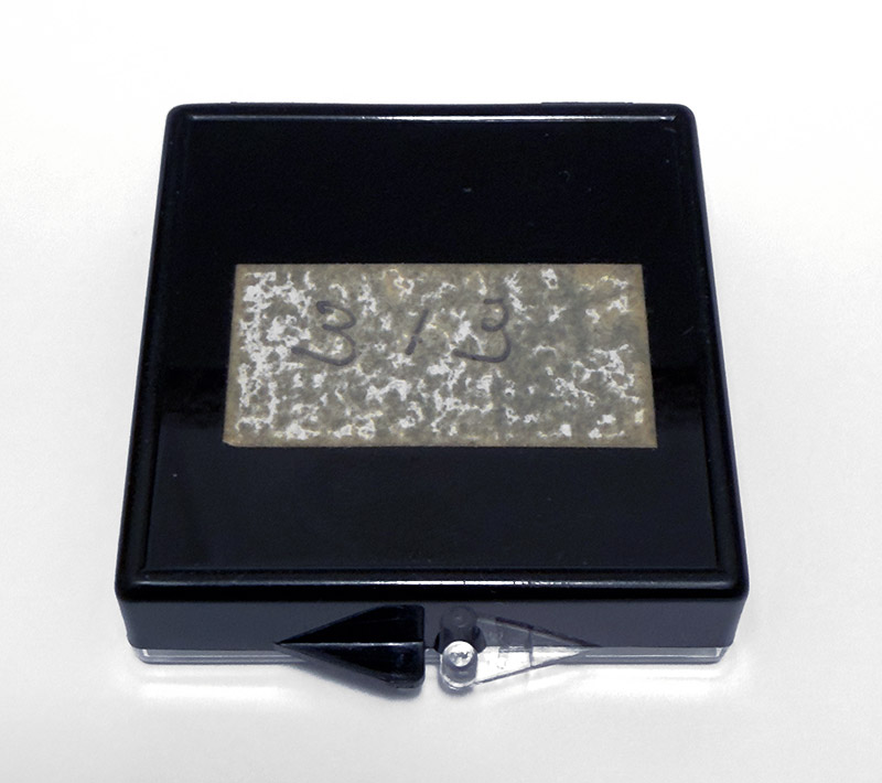 Apollo 9 Flown Robbins Medallion